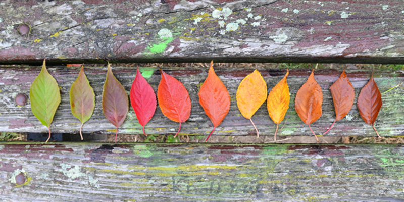 Discrete Vs. Continuous Data: What's The Difference?